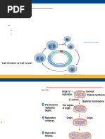 Cell Cycle and Cell Division Annotated NCERT | PDF | Meiosis | Mitosis