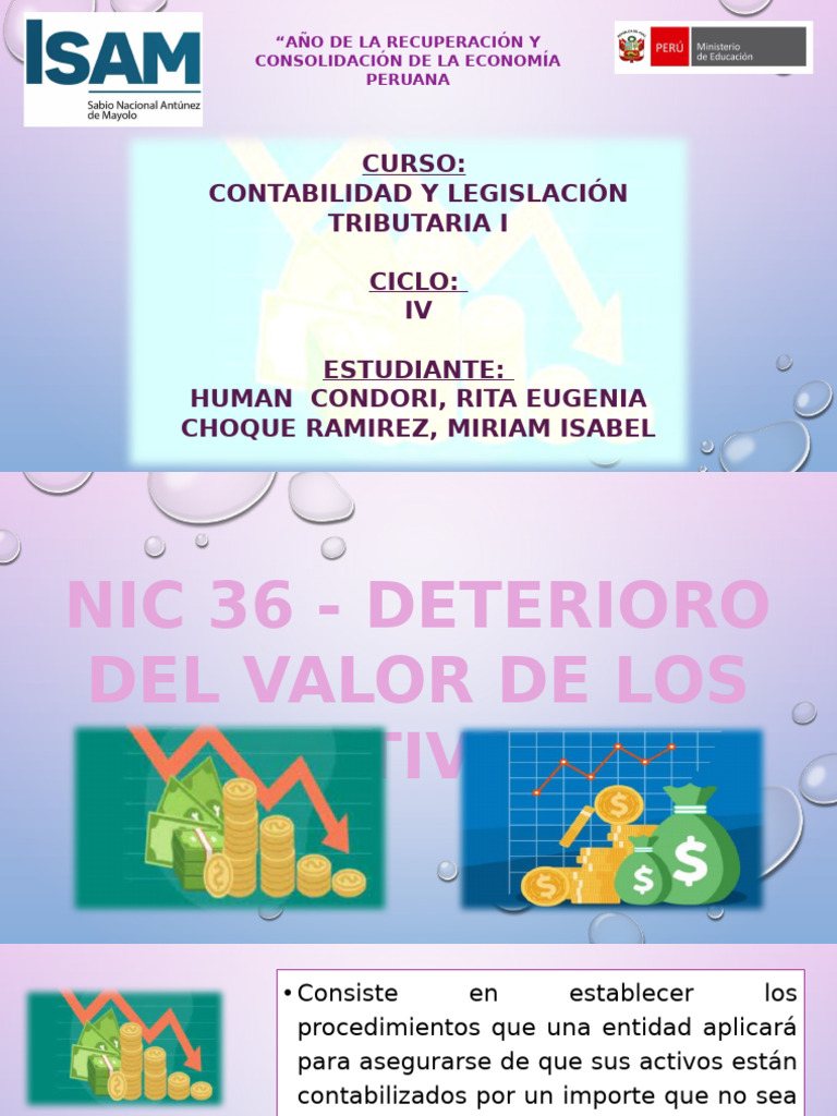 Nic 36 | PDF | normas internacionales de INFORMACION FINANCIERA ...