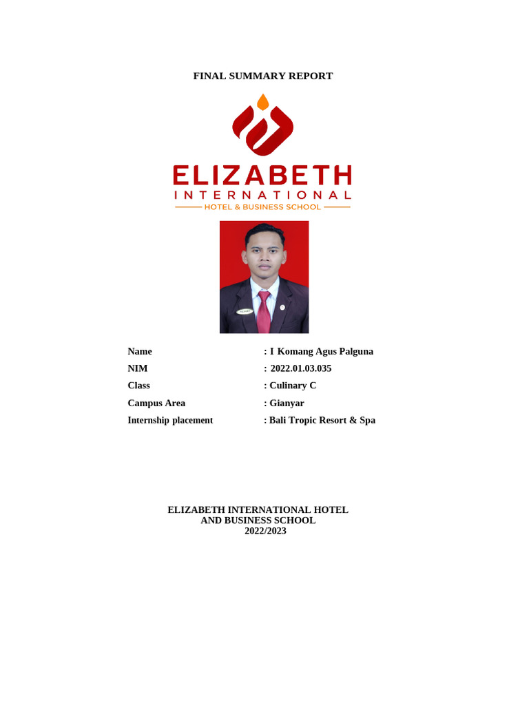 Final Summary Report I Wayan Setiadi | PDF