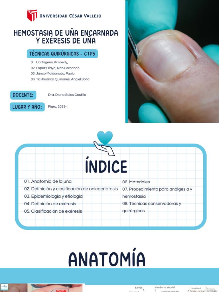 Diapositivas - Exéresis de Uña Encarnada | PDF | Clavo (anatomía ...