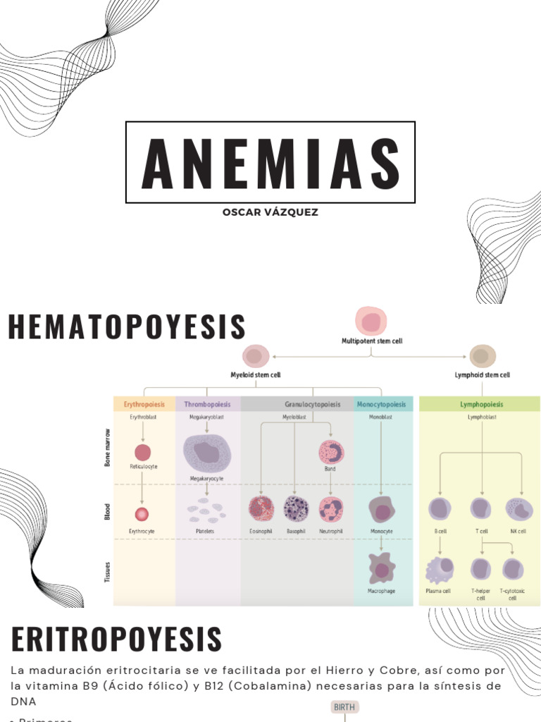 ANEMIAS.pdf | PDF | Glóbulo rojo | Medicina CLINICA