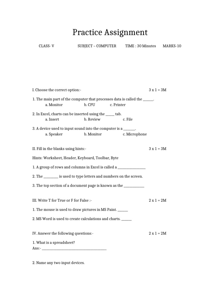 Computer Practice Assignment for Class V | PDF