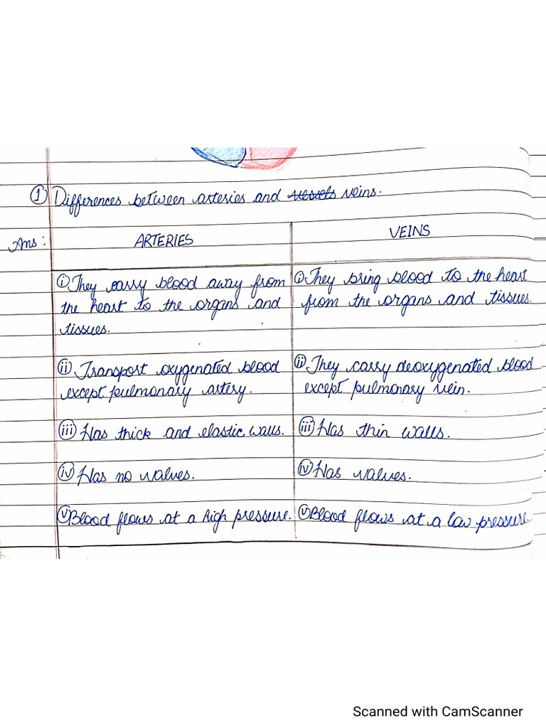 Useful Science ! | PDF