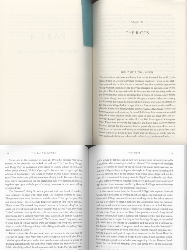 Faderman - The Riots | PDF