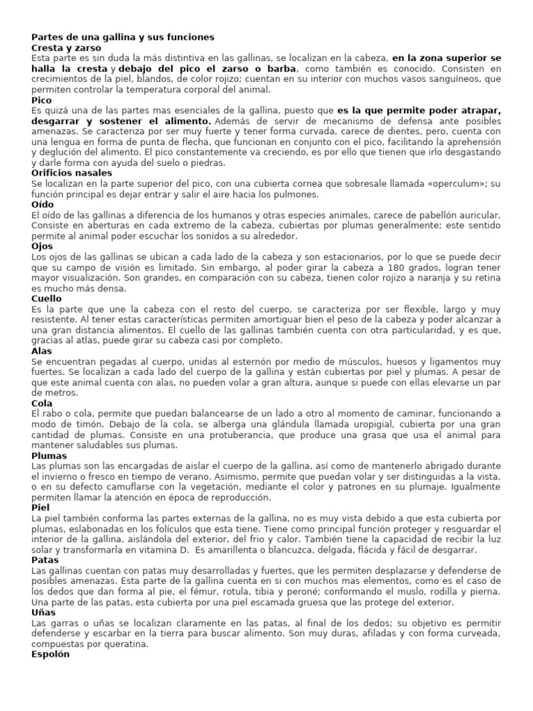Partes de Una Gallina y Sus Funciones | PDF | Pollo | Pluma
