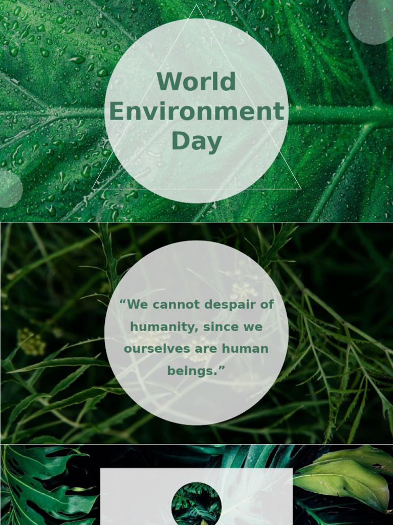 200023-World Environment Day | PDF | Natural Environment | Ecosystem