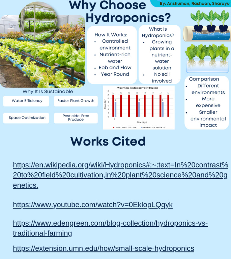 Hydroponics | PDF