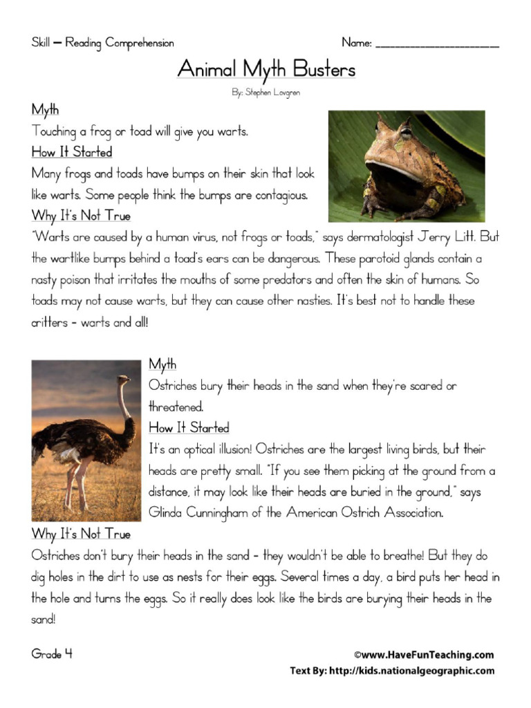 Free Animal Myth Busters Fourth Grade Reading Comprehension Worksheet | PDF