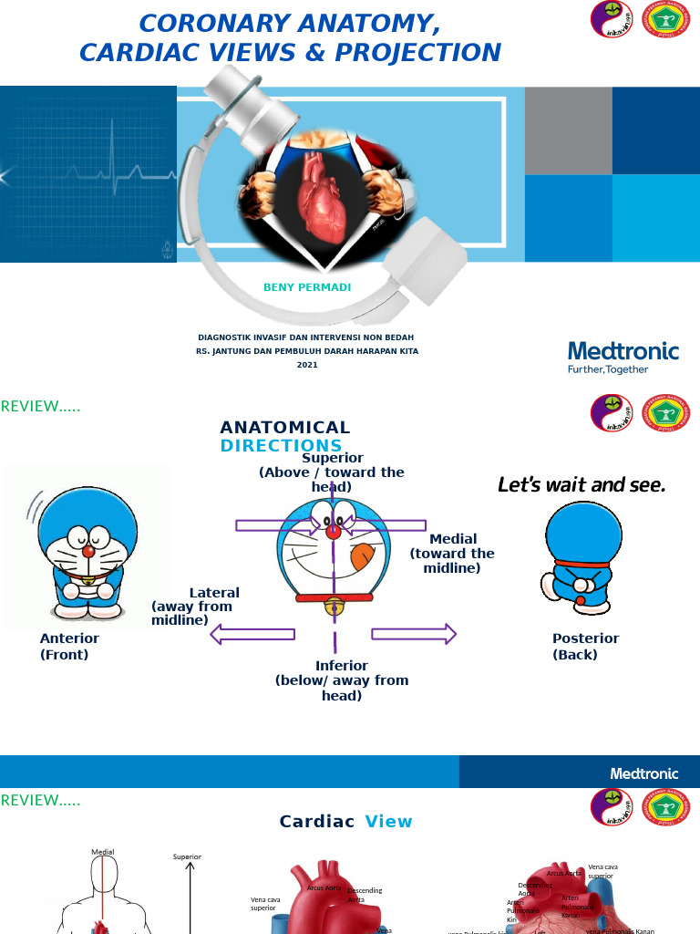 Anfis Coronary Inkavin New | PDF | Coronary Circulation | Heart Valve