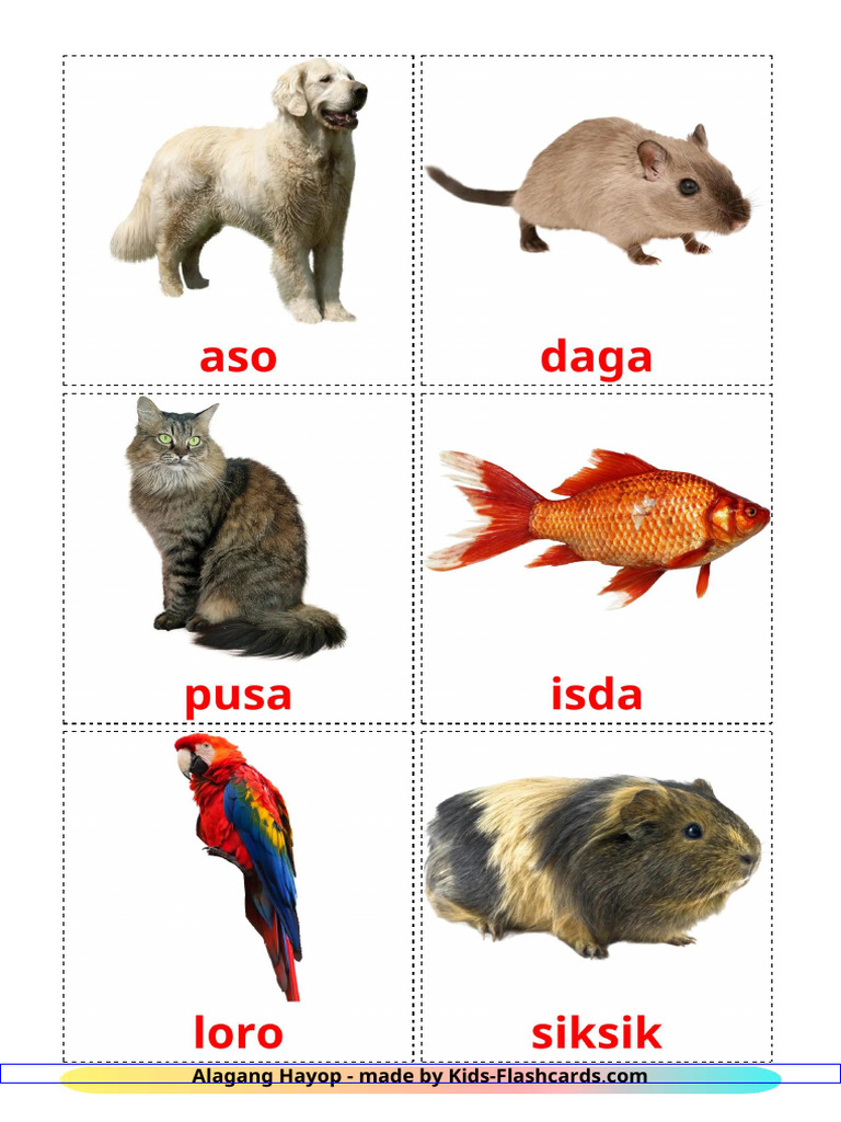 Alagang Hayop 6 A4 | PDF