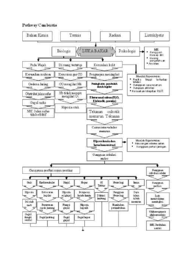Pathway Combustio | PDF
