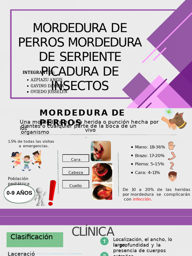 Mordedura de Perros y Serpientes | PDF | Rabia | Especialidades Medicas