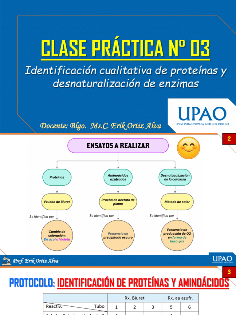 Clase Práctica #02 - Identificación de Proteínas y Desnaturalización de Enzimas | PDF