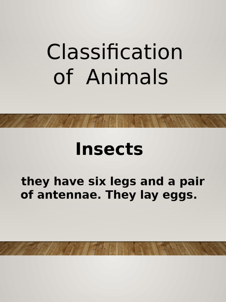 Classification of Animals | PDF