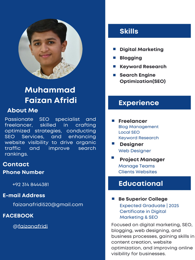 Faizn Afridi Profile CV PDF | PDF