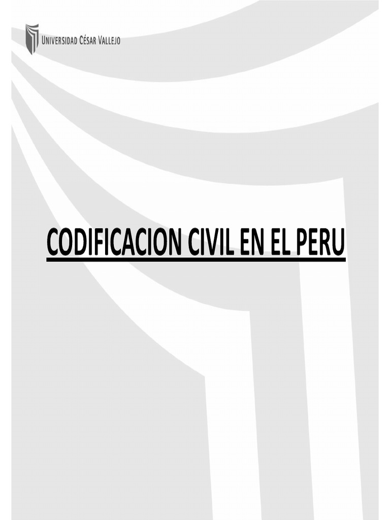 Codificación en El Perú Segunda Clase 1 | PDF