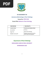 s1 Biology Notes | PDF | Tissue (Biology) | Microscope