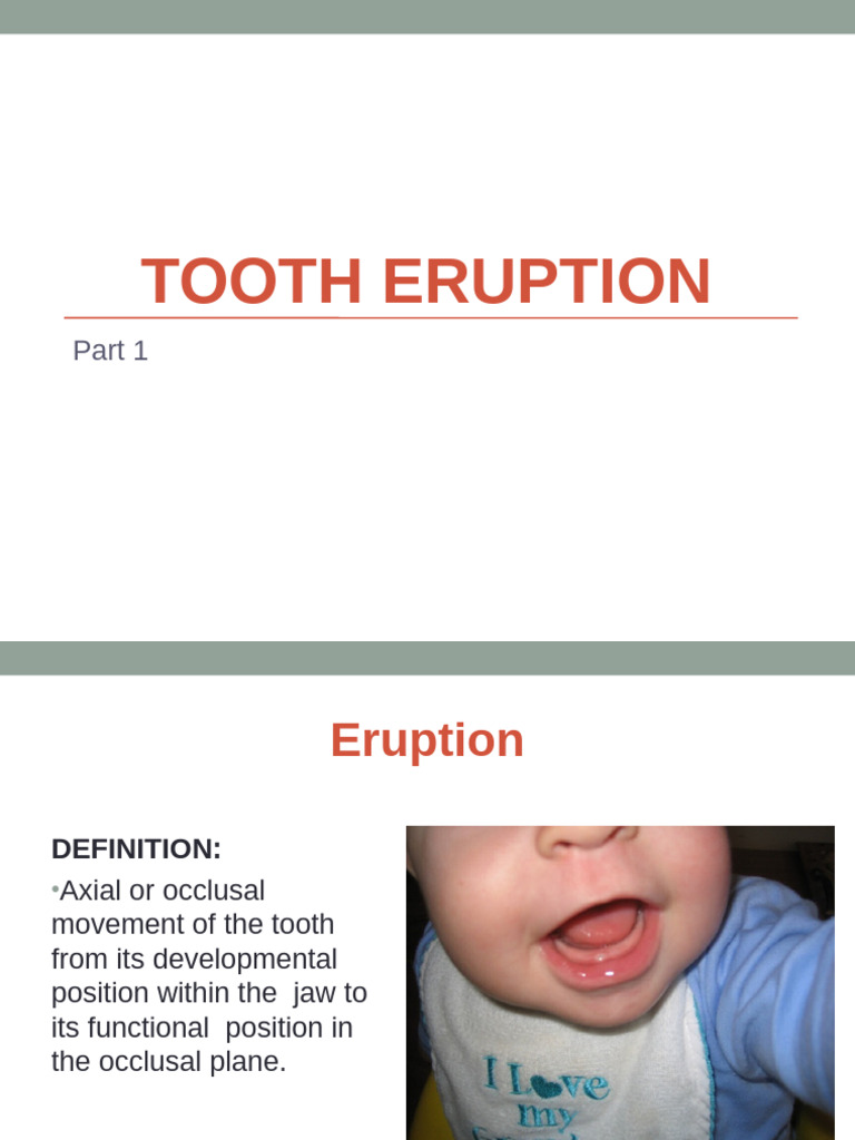 Tooth Eruption | PDF | Dental Anatomy | Dentistry Branches