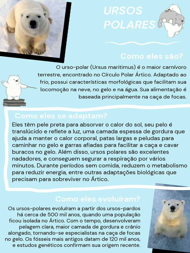 Locomoção do Urso Polar no Ártico | PDF
