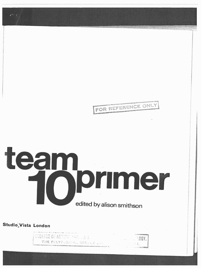 Team 10 Architectural Primer Overview | PDF