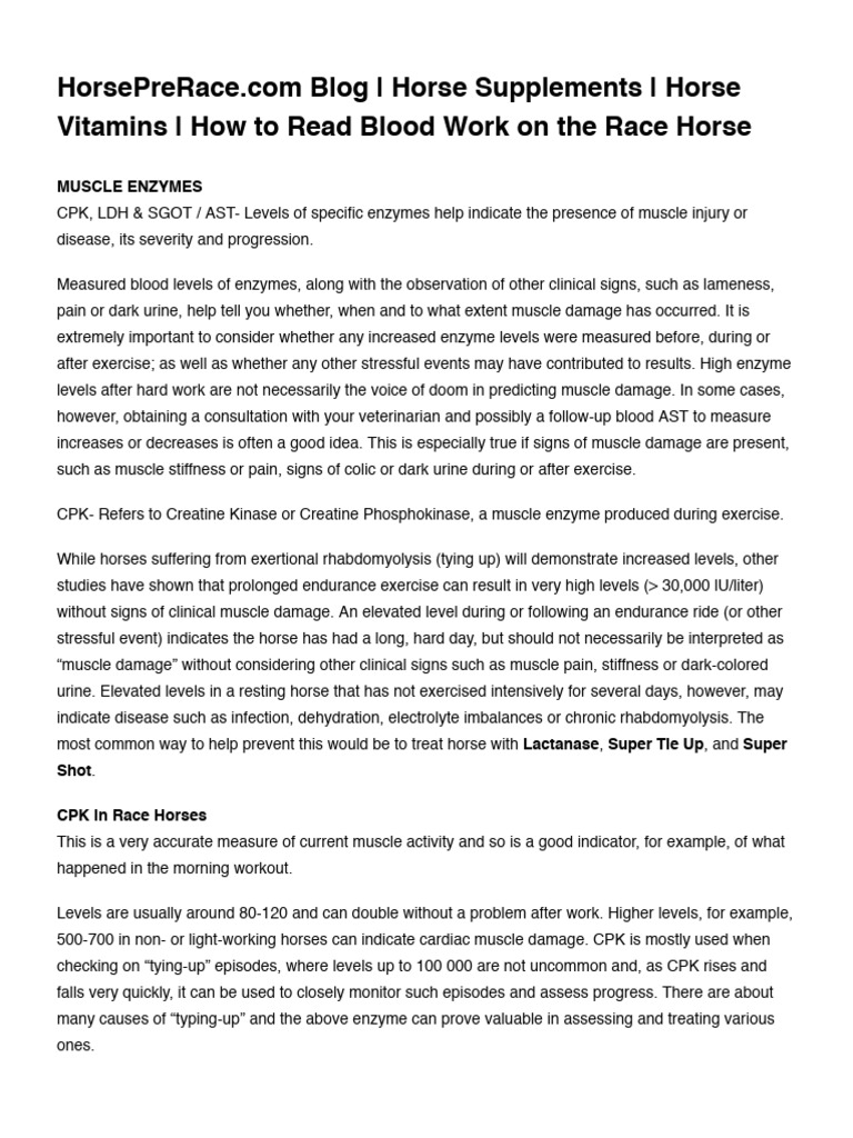 Understanding Race Horse Muscle Enzymes | PDF | White Blood Cell | Acid