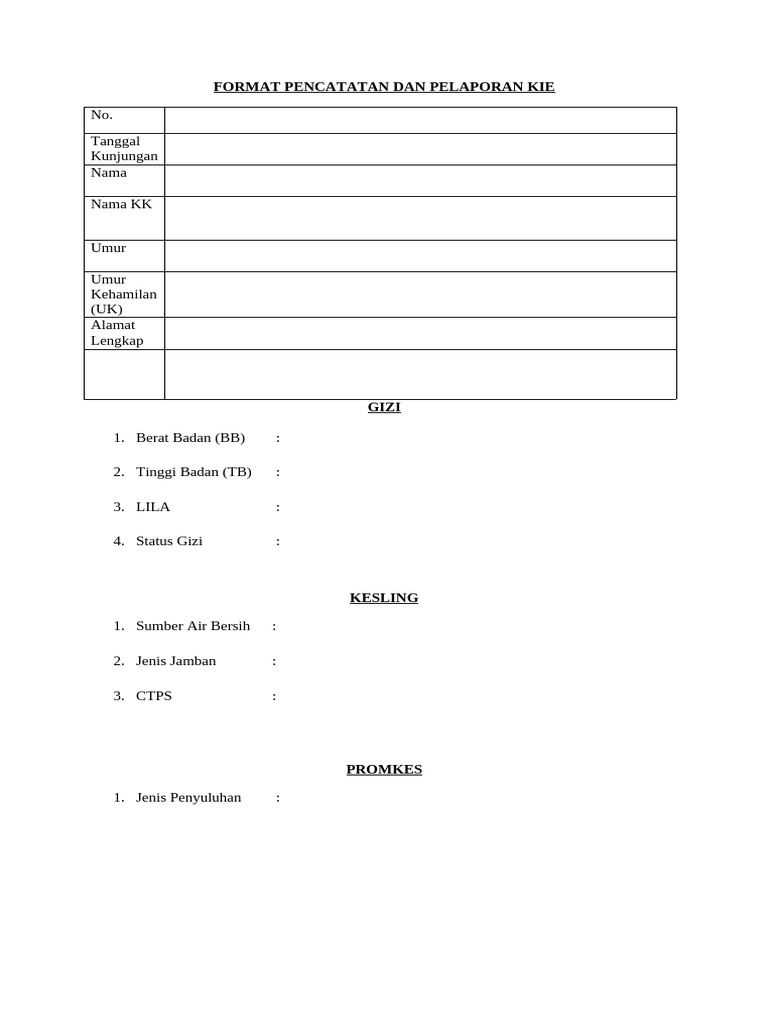Format Pencatatan Dan Pelaporan Kie 2021 | PDF
