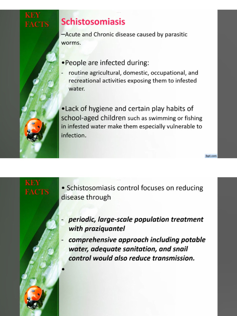 Schistosomiasis | PDF