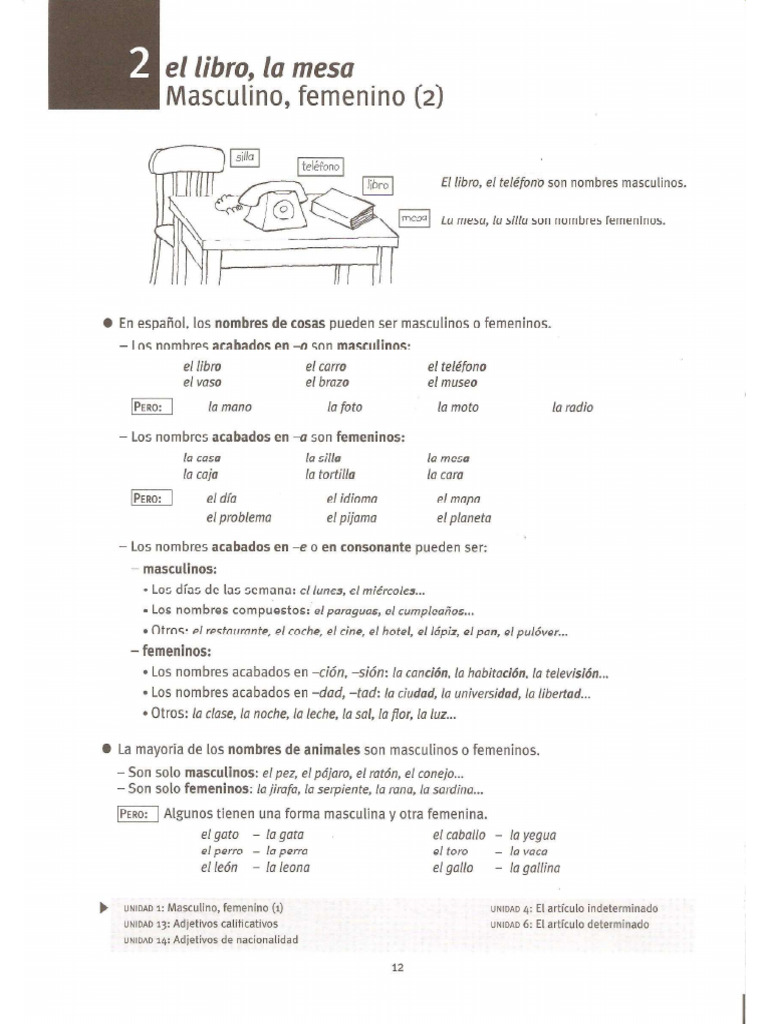 Masculino o Femenino | PDF
