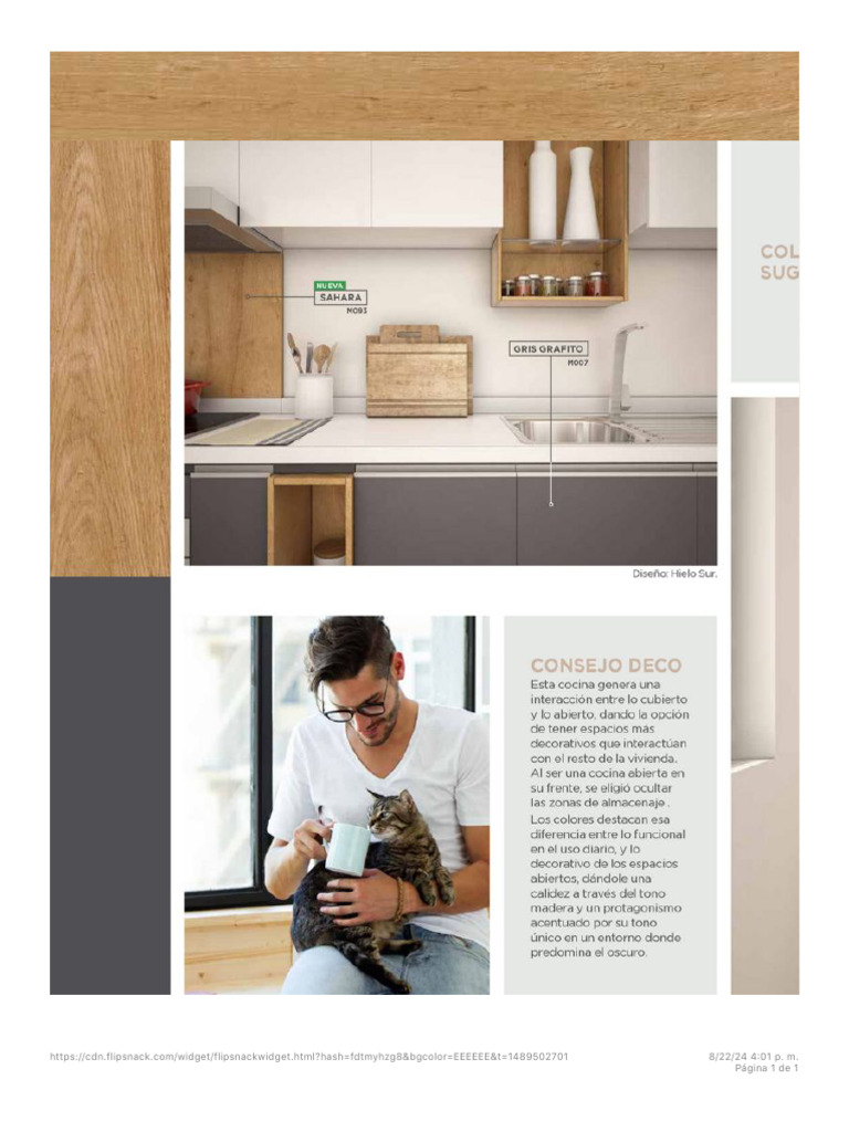 Flip Snack | PDF