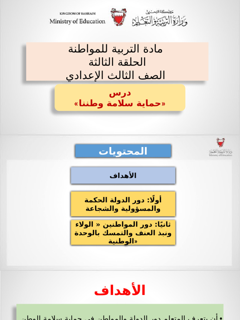 Protecting-the-Safety-of-the-Citizen-G9 | PDF