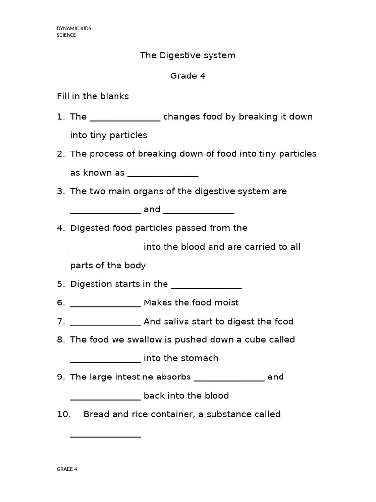 The Digestive System Grade 5 Worksheet 2 | PDF