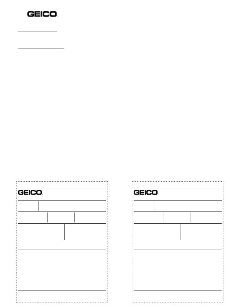 GEICO Car Registration 2023 1-6 | PDF | Identity Document