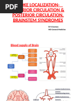 Bamford Stroke Classification Overview | PDF | Stroke | Cerebral Cortex