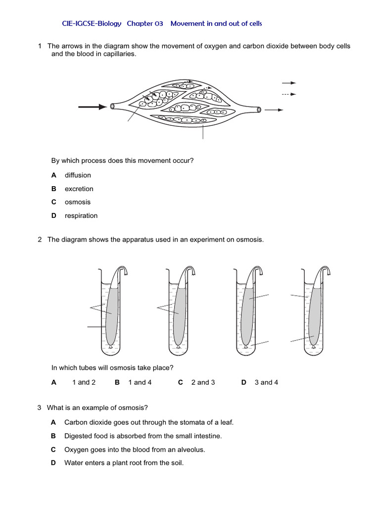 Movement in & Out of Cells (Multiple Choice) 2 QP | PDF | Osmosis ...