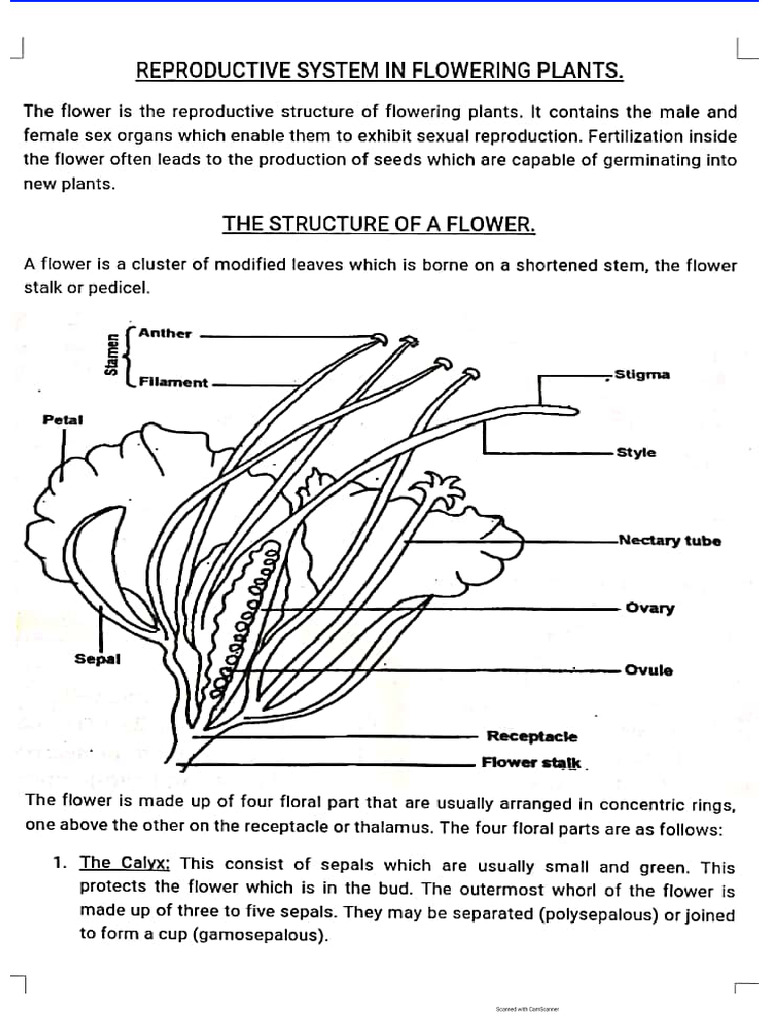 SS2 (2ND Term 7) | PDF