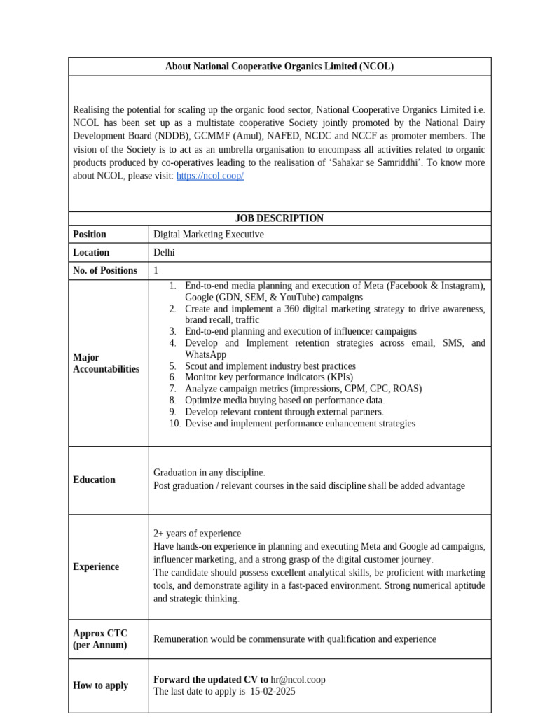 JD NCOL Digital Marketing Executive | PDF | Digital Marketing | Human ...