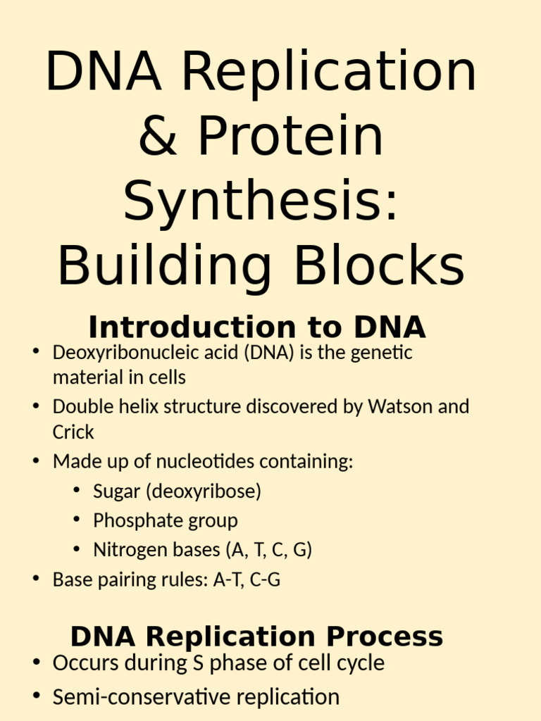 DNA Replication - Protein Synthesis Building Blocks of Life | PDF