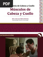 Músculo Corrugador Superciliar: Función y Anatomía | PDF