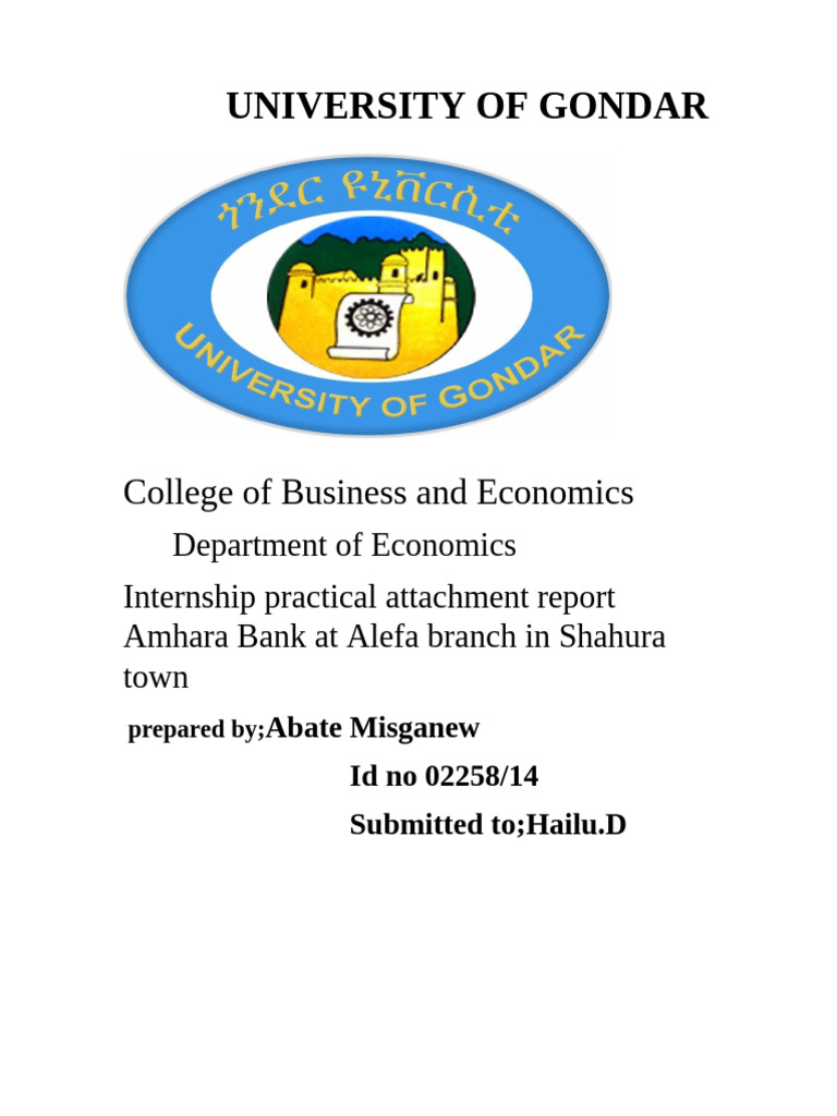 Abate Practical Attachment (1) (1) | PDF | Banks | Mentorship