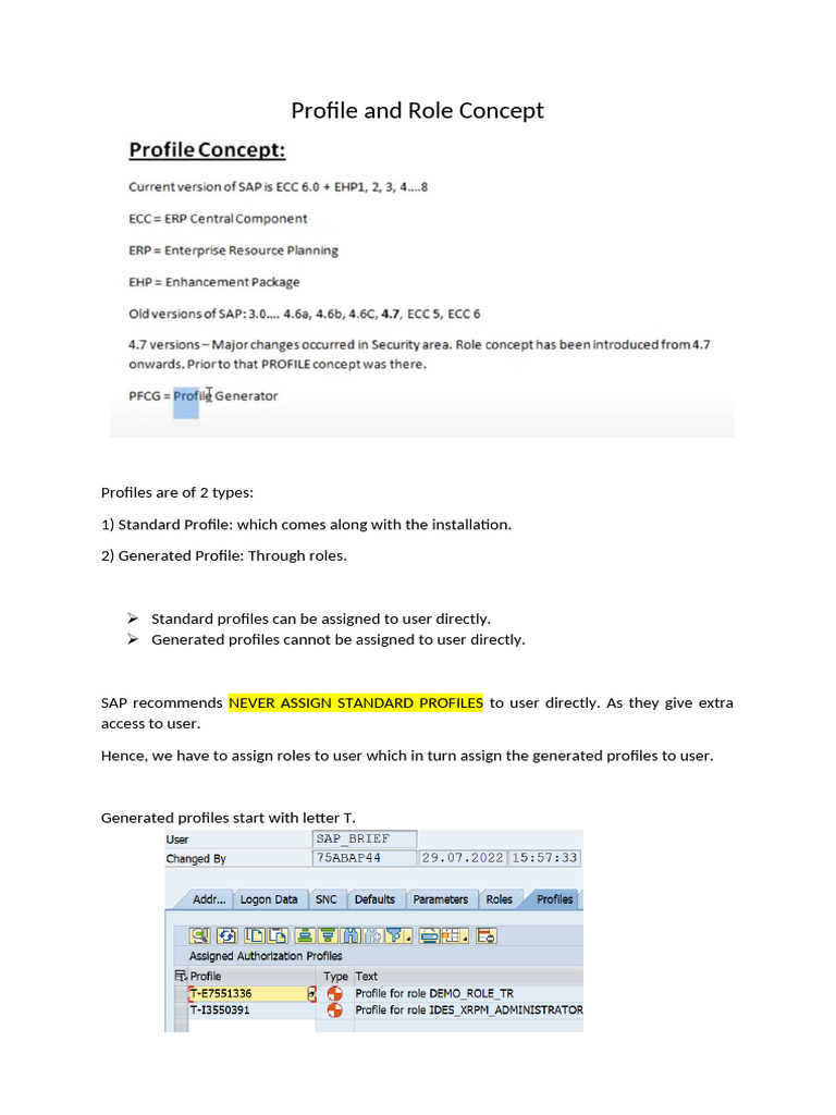 Profile and Role Concept | PDF | Business | Data