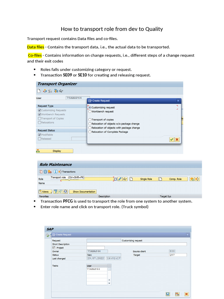 Transporting Roles: SE09 vs SE10 Guide | PDF