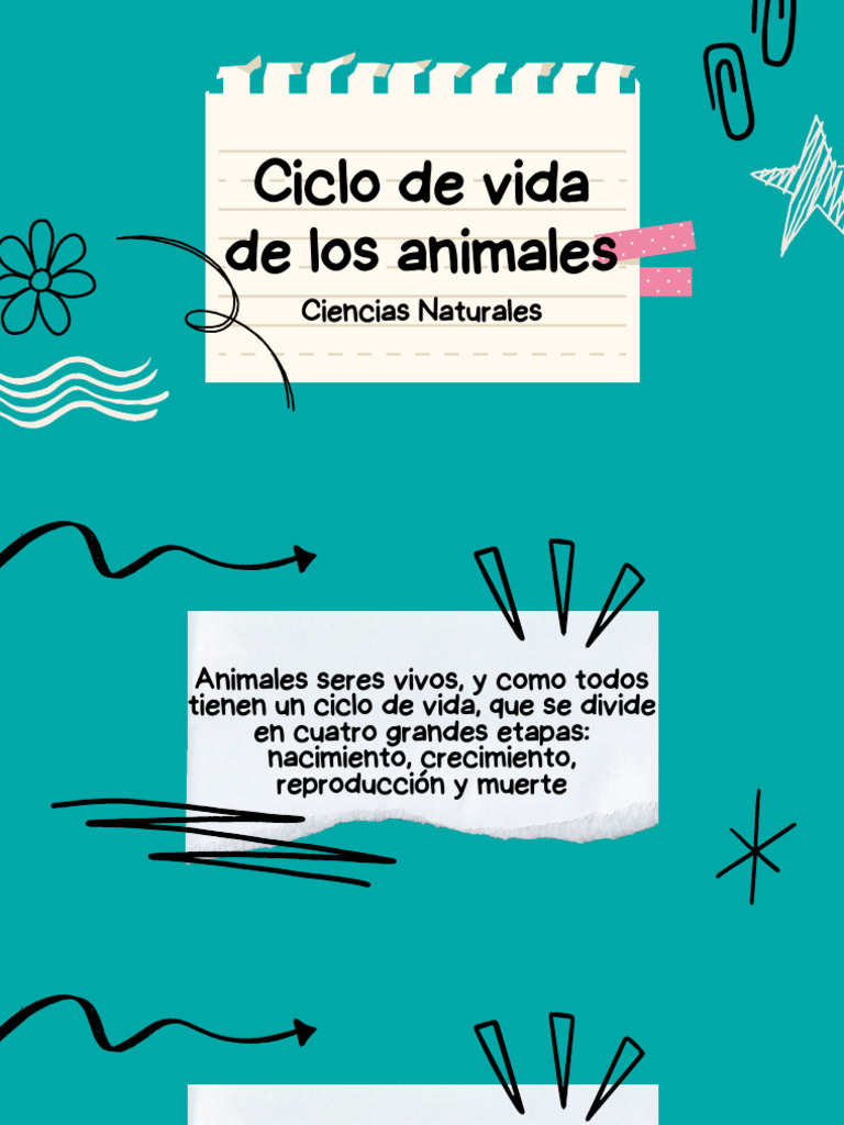 Ciclo de Vida de los Animales | PDF
