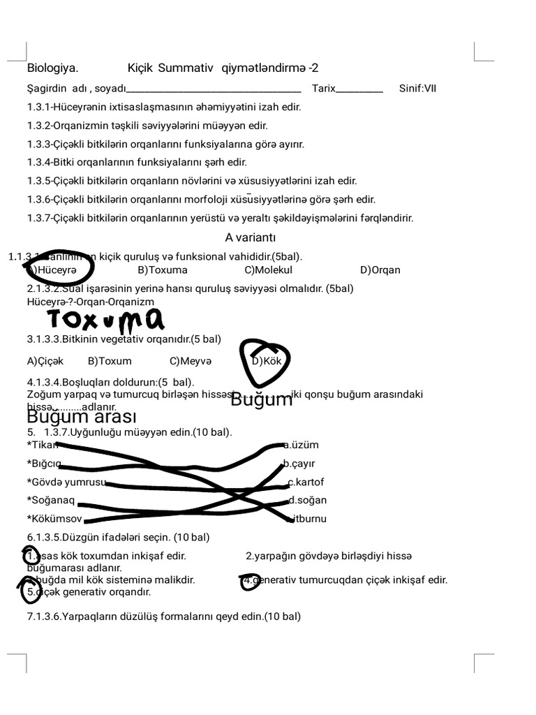 7-Ci Sinif KSQ A Variantı | PDF