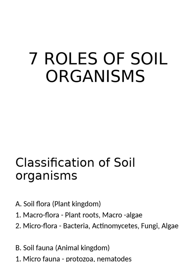 7 ROLES OF SOIL-WPS Office(2) | PDF | Soil | Botany