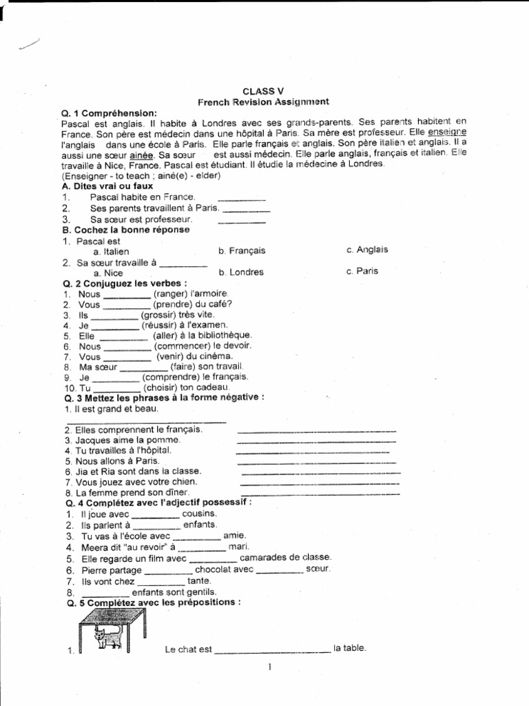 French Model Papers Class 5th | PDF