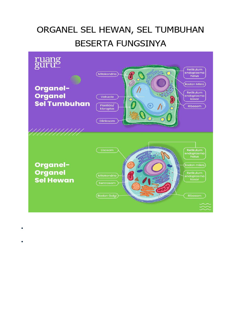 Organel Sel Dan Funginya | PDF