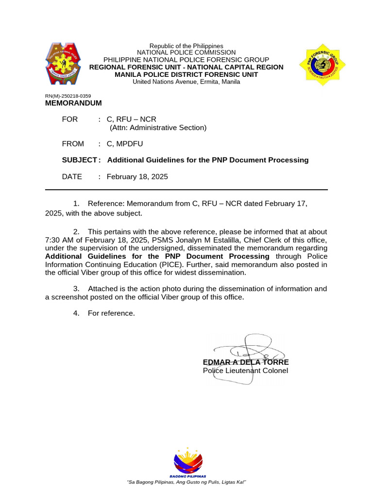 Additional Guidelines For The PNP Document Processing | PDF ...