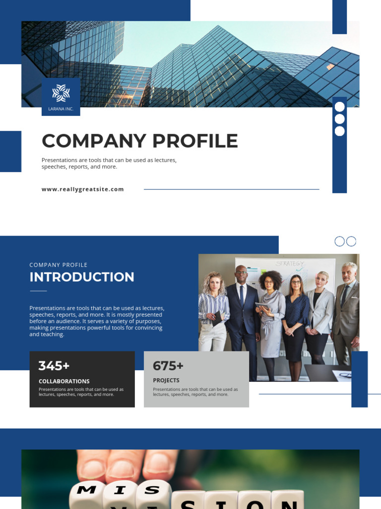 Larana Inc. Company Profile Overview | PDF