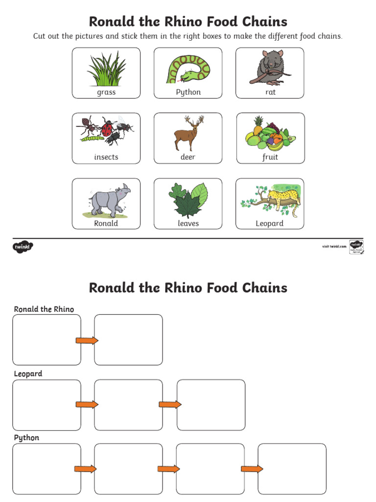 T L 52258 Ronald The Rhino Food Chains Activity Sheet Ver 1 | PDF
