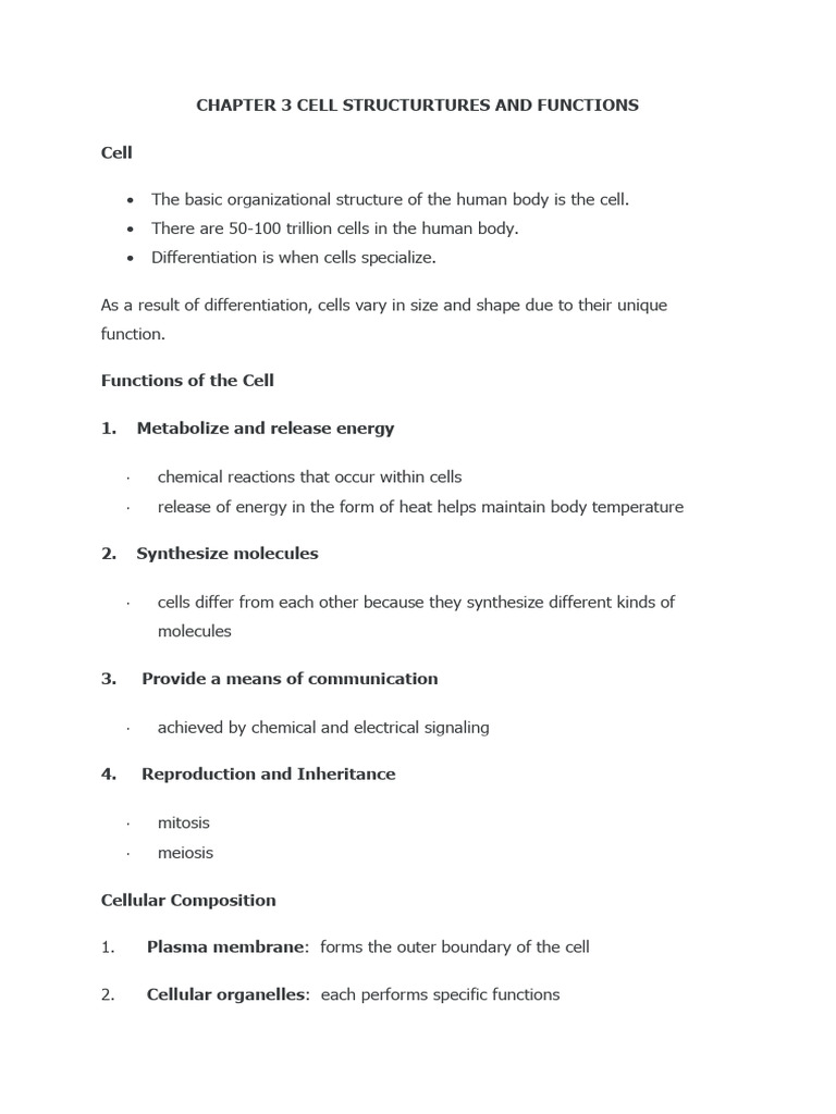 Cell Structures and Functions Explained | PDF | Cell (Biology) | Cell ...